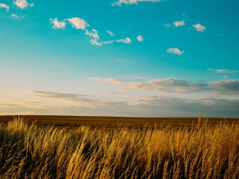 Les villages de vacances à la campagne - Village de vacances